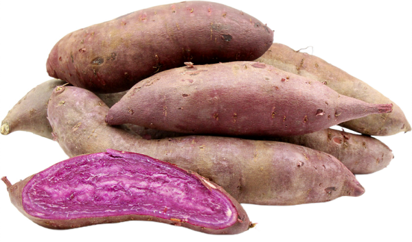 Home | Enjoye Taste of India